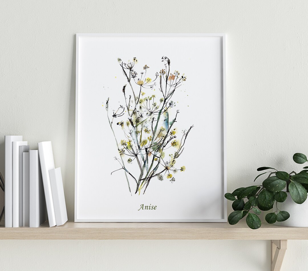 Kitchen Wall Decor: Anise Herb Art Print - Aromatic Plant Painting for ...