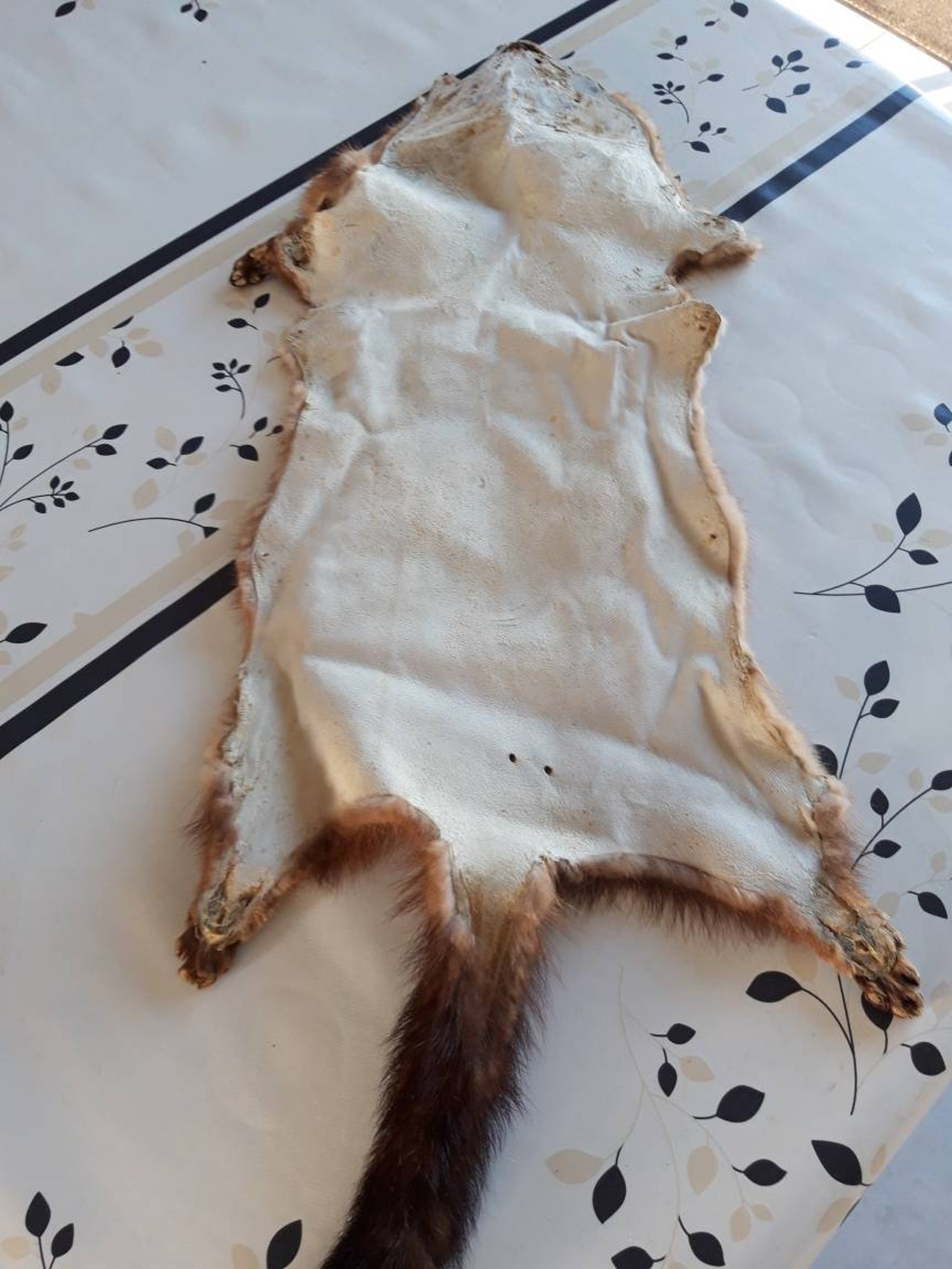 Vintage French Mink Hide Pelt Tanned Taxidermy Skin - Etsy