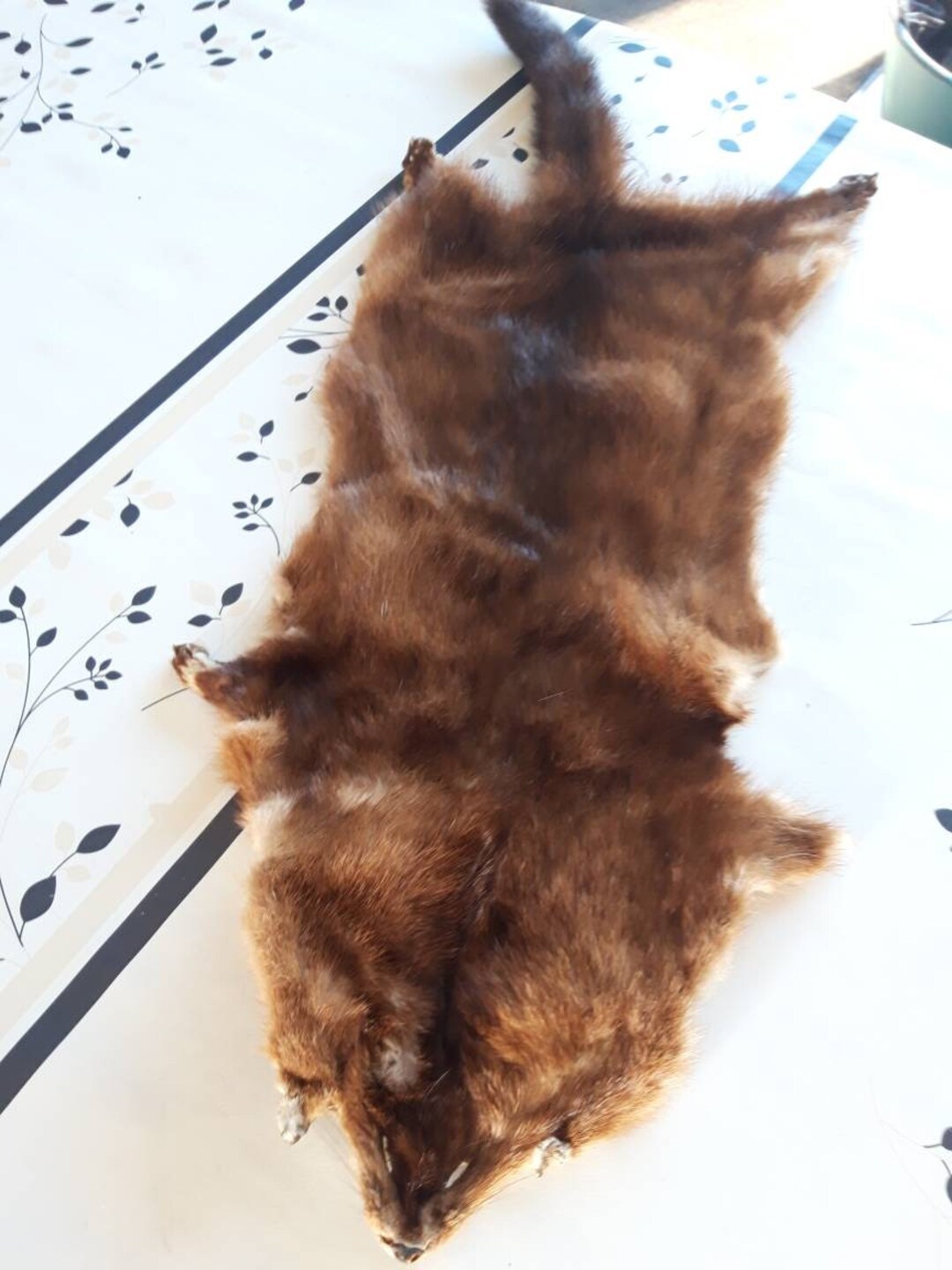 Vintage French Mink Hide Pelt Tanned Taxidermy Skin - Etsy