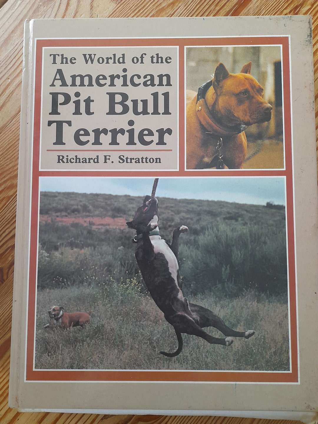 Rare American Pit Bull Terrier Book - Etsy