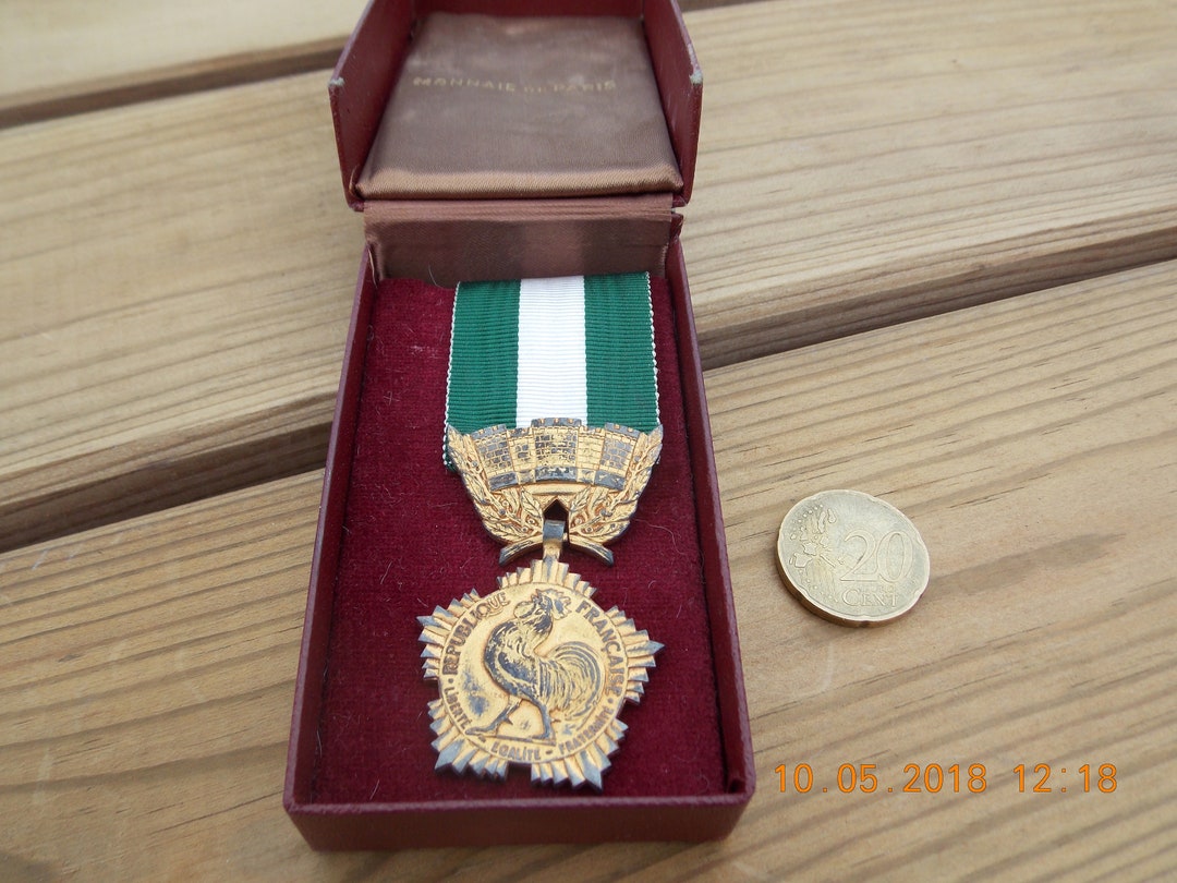 Vintage French Medal Gold Finished Cock / Chicken Medal in Box - Etsy