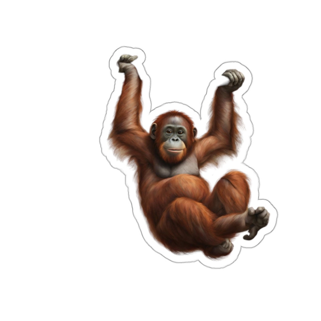Orangutan Stickers for Conservation | Kiss-cut Vinyl Stickers | Laptop ...