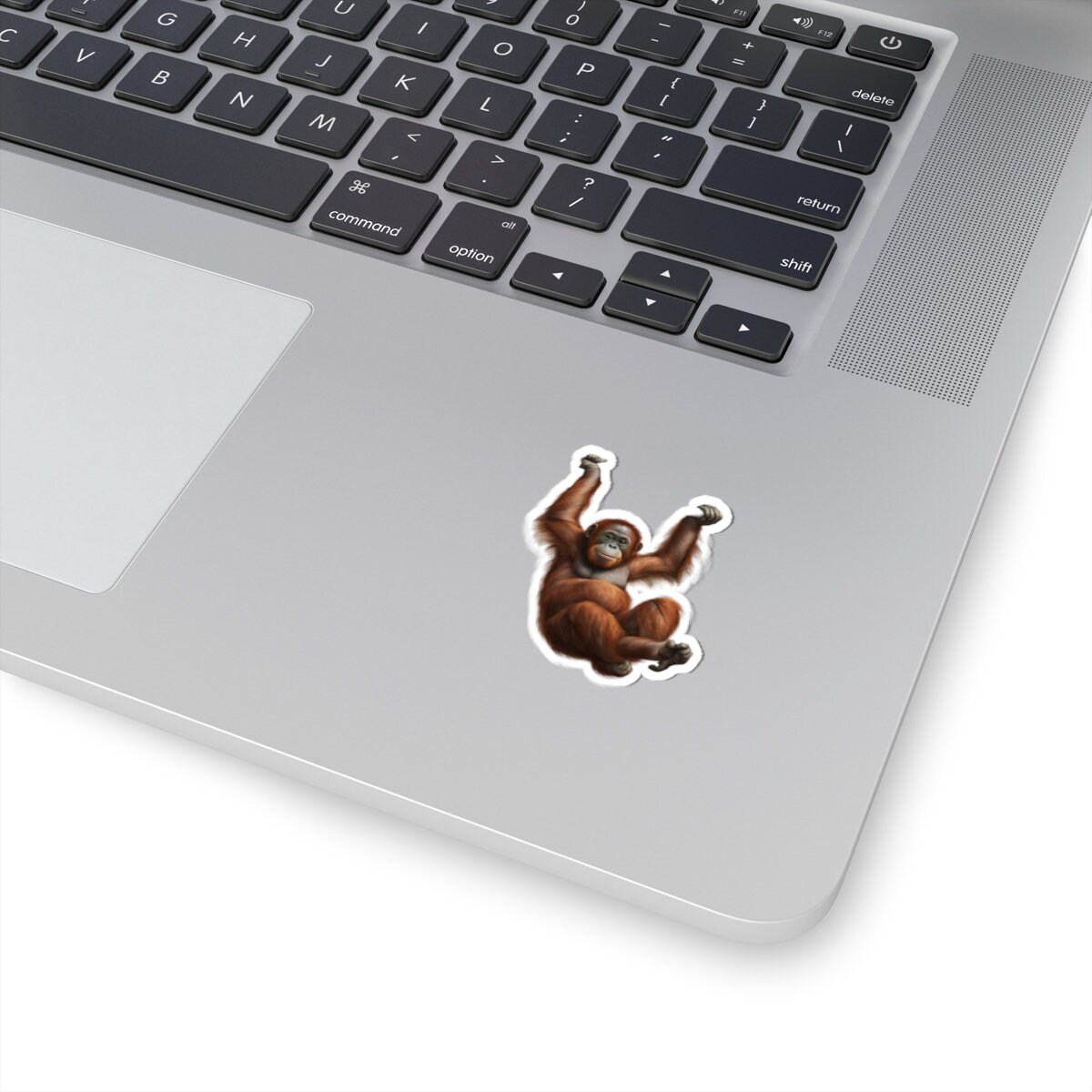 Orangutan Stickers for Conservation | Kiss-cut Vinyl Stickers | Laptop ...