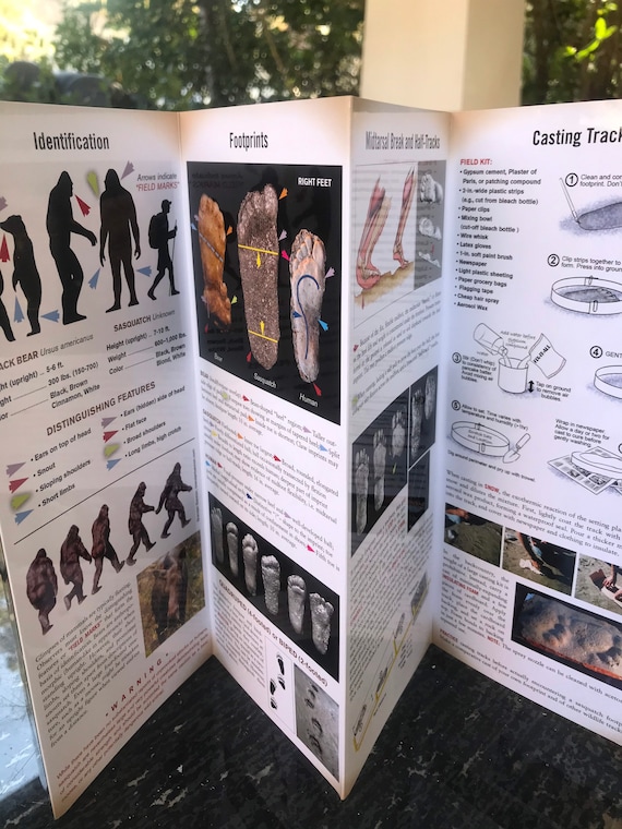 Bigfoot Footprints Meldrum