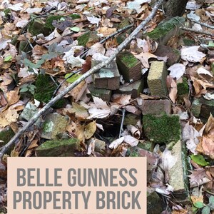 Belle Gunness Serial Killer Property Relic Brick Historical - Etsy