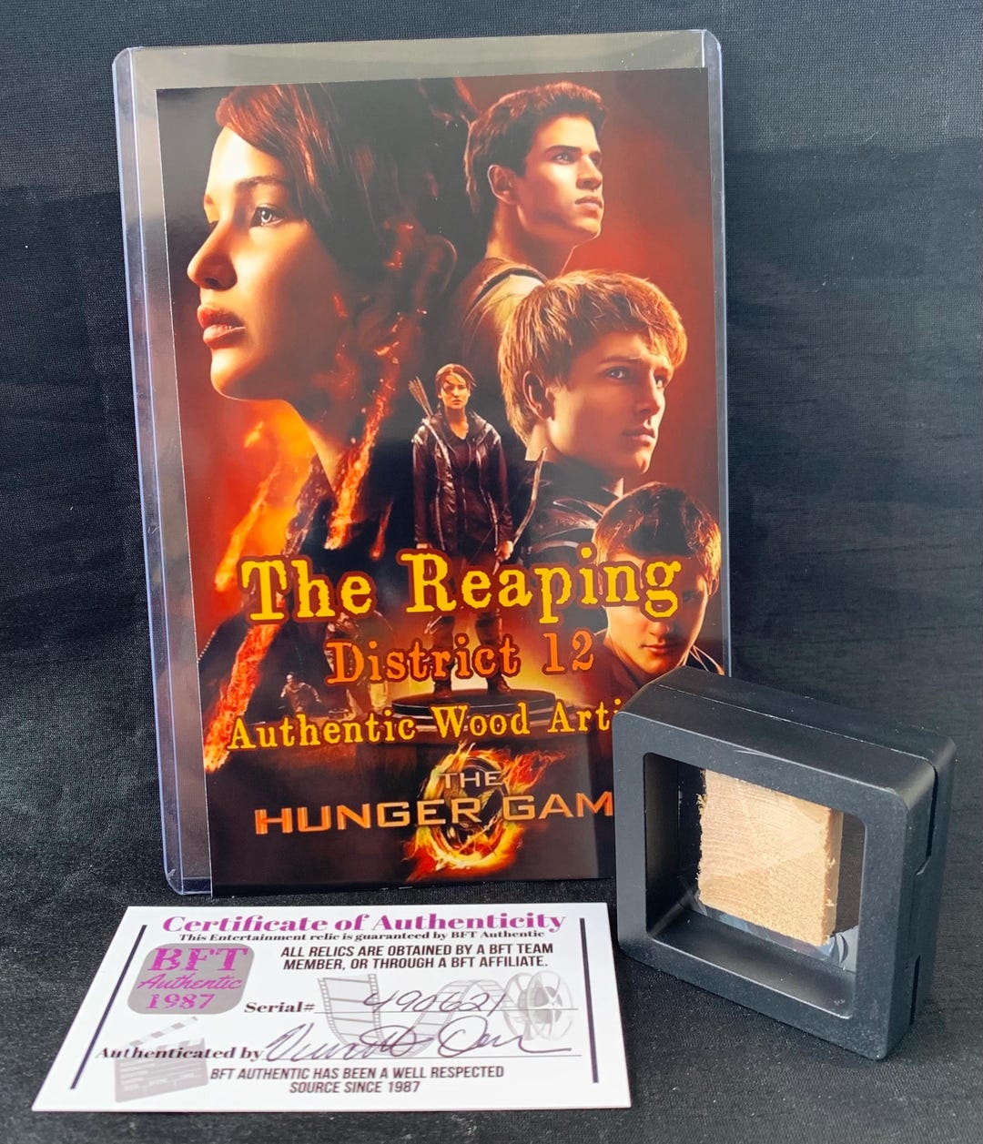 Hunger Games Katness the Reaping Filming Location Relic Movie Artifact ...