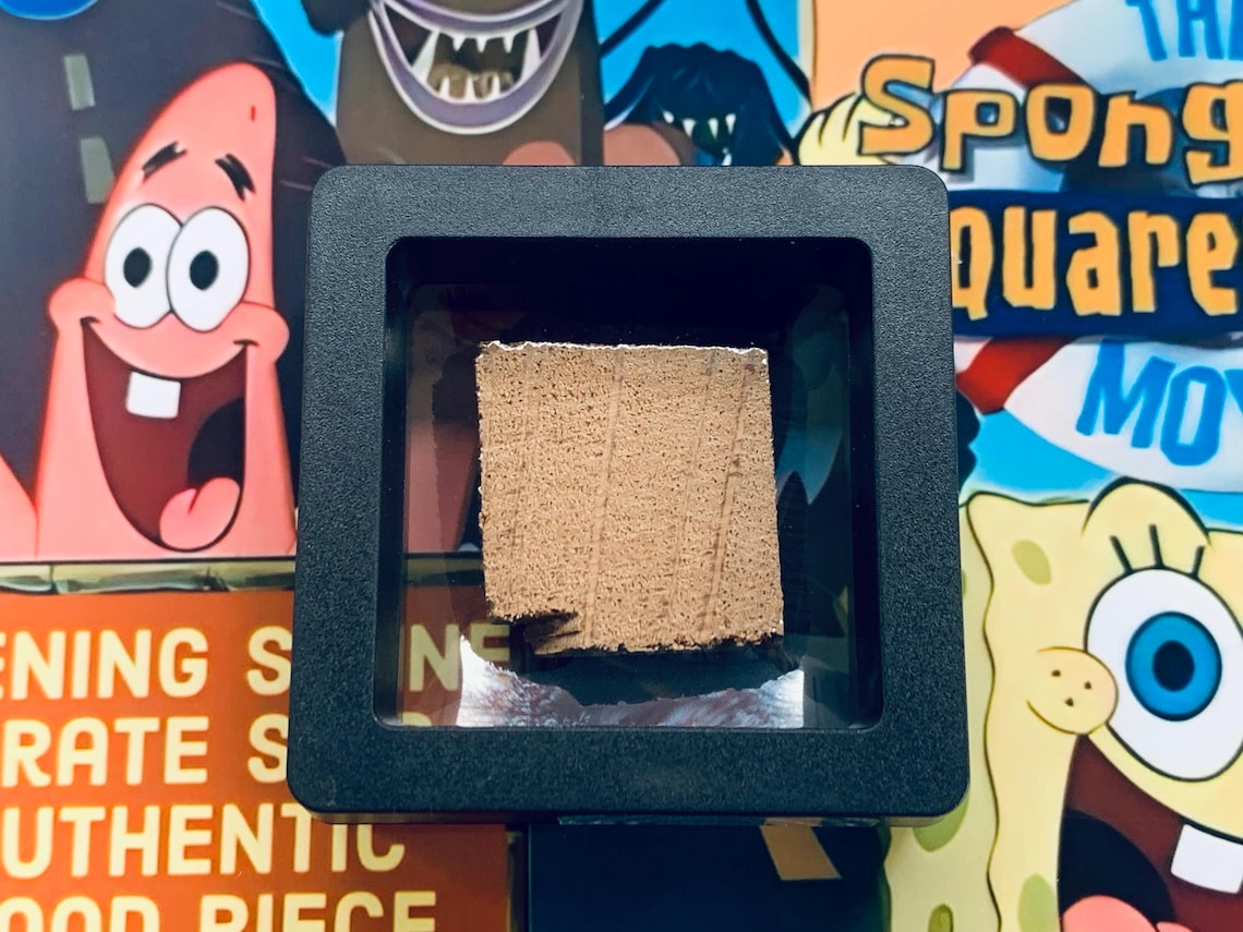Spongebob Squarepants Authentic Movie Relic Pirate Ship Original Prop ...