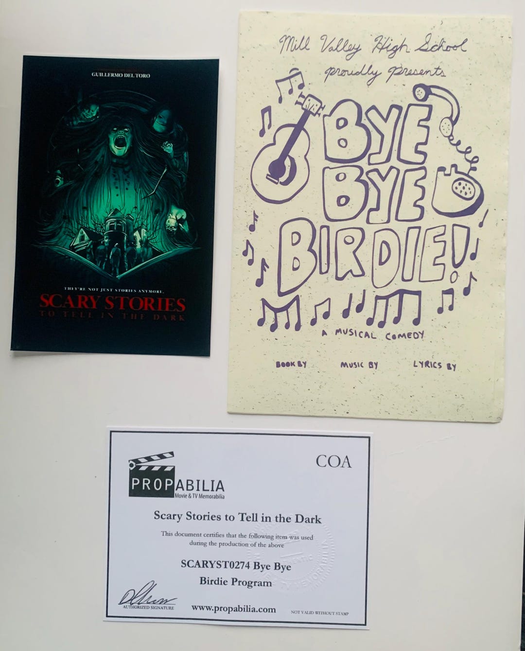 Scary Stories to Tell in the Dark Authentic Movie Prop Bye Bye Birdie ...