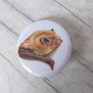Bat Badges, Bat Button Badges, Common Pipistrelle, Brown Long Eared Bat ...
