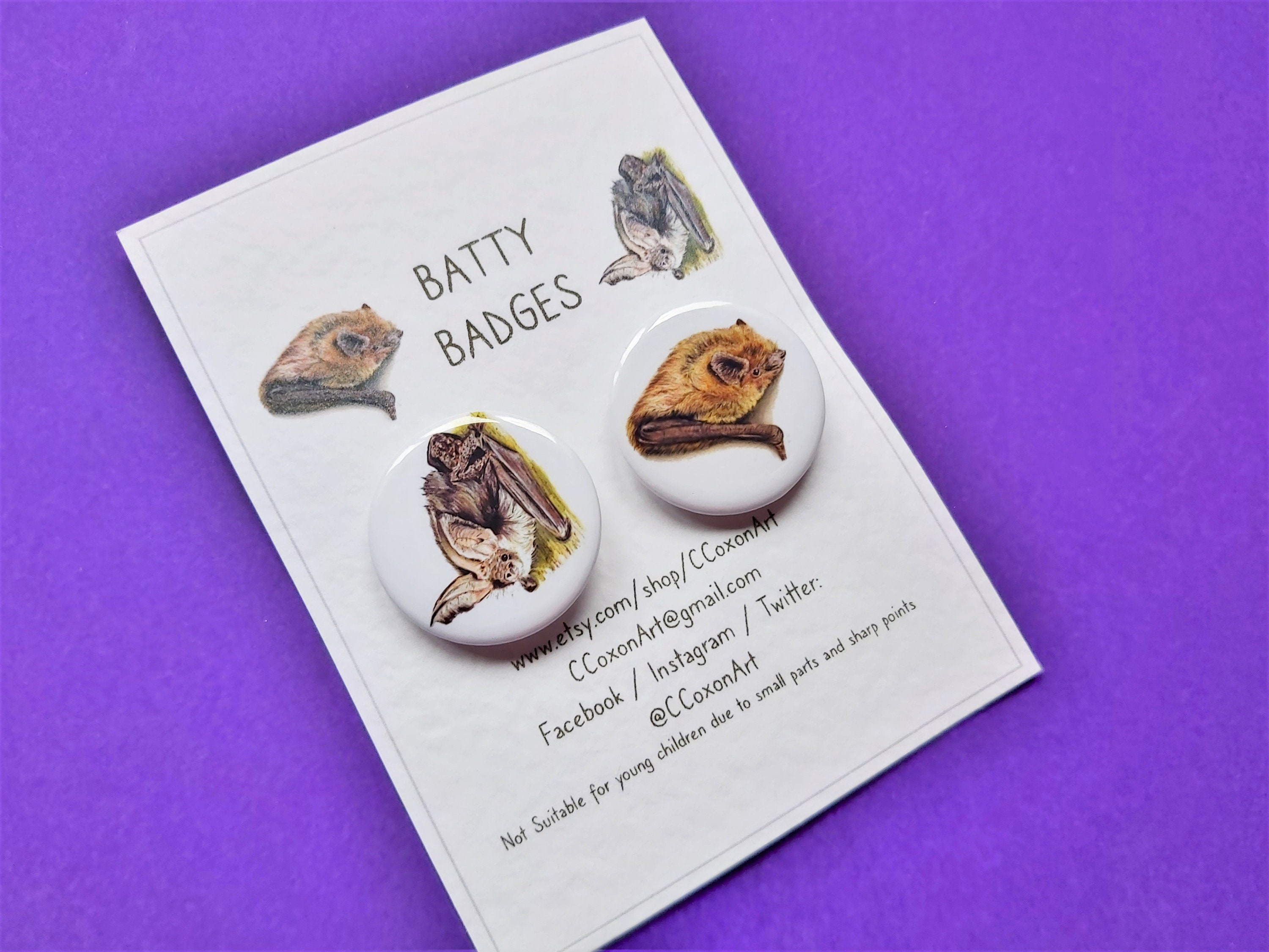 Bat Badges, Bat Button Badges, Common Pipistrelle, Brown Long Eared Bat ...