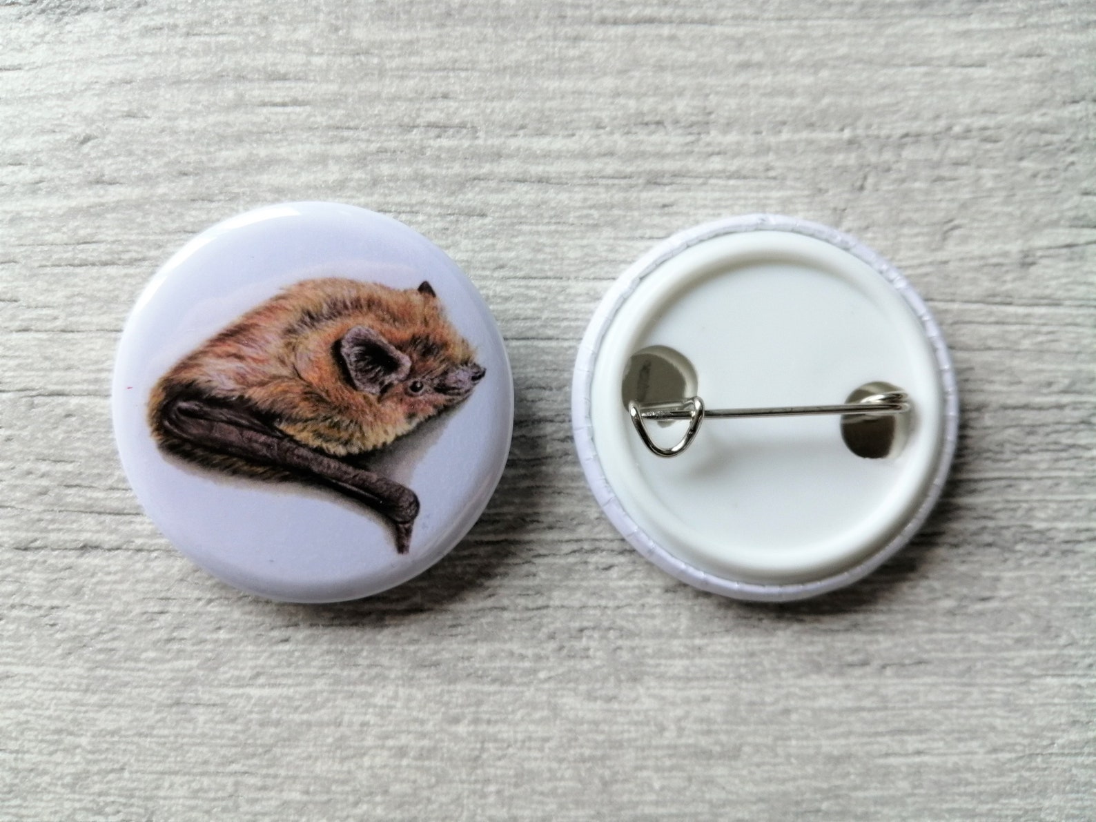 Bat Badges, Bat Button Badges, Common Pipistrelle, Brown Long Eared Bat ...