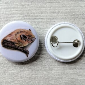 Bat Badges, Bat Button Badges, Common Pipistrelle, Brown Long Eared Bat ...