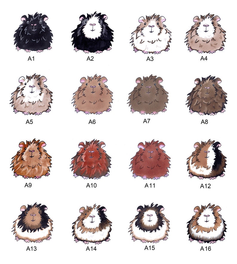 Personalised Guinea Pig Print Custom Guinea Pig Print Guinea - Etsy