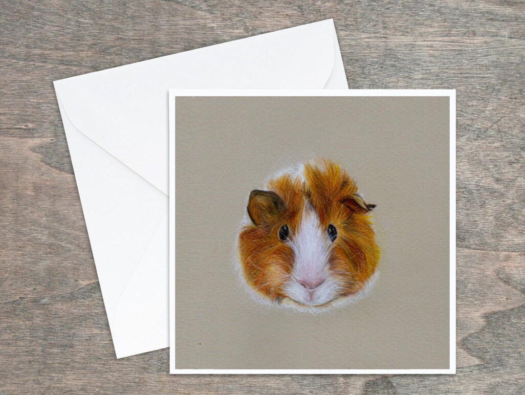 Guinea Pig Card Guinea Pig Lover Greeting Card Animal | Etsy