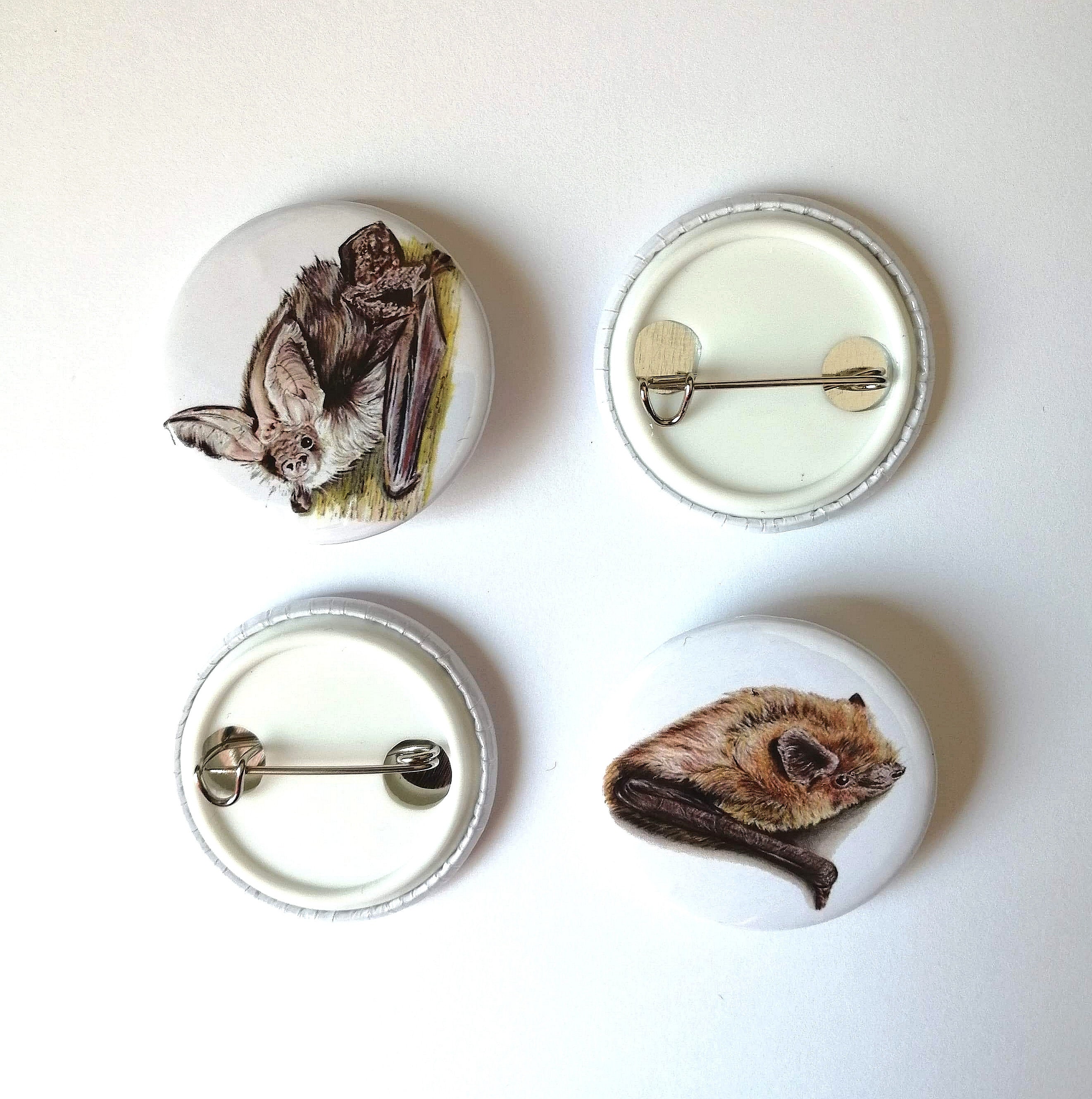 Bat Badges, Bat Button Badges, Common Pipistrelle, Brown Long Eared Bat ...