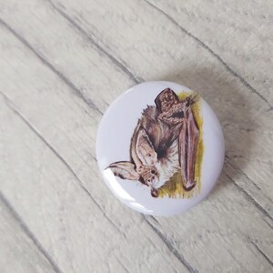 Bat Badges, Bat Button Badges, Common Pipistrelle, Brown Long Eared Bat ...
