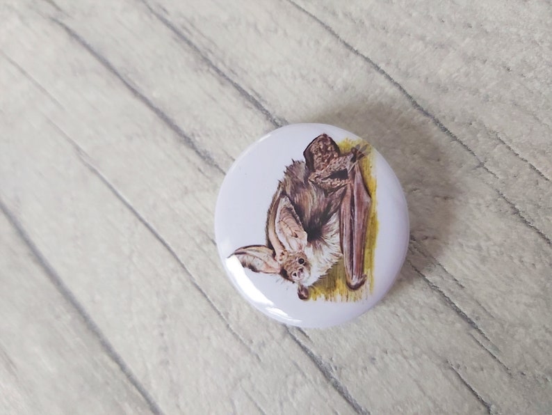 Bat Badges, Bat Button Badges, Common Pipistrelle, Brown Long Eared Bat ...