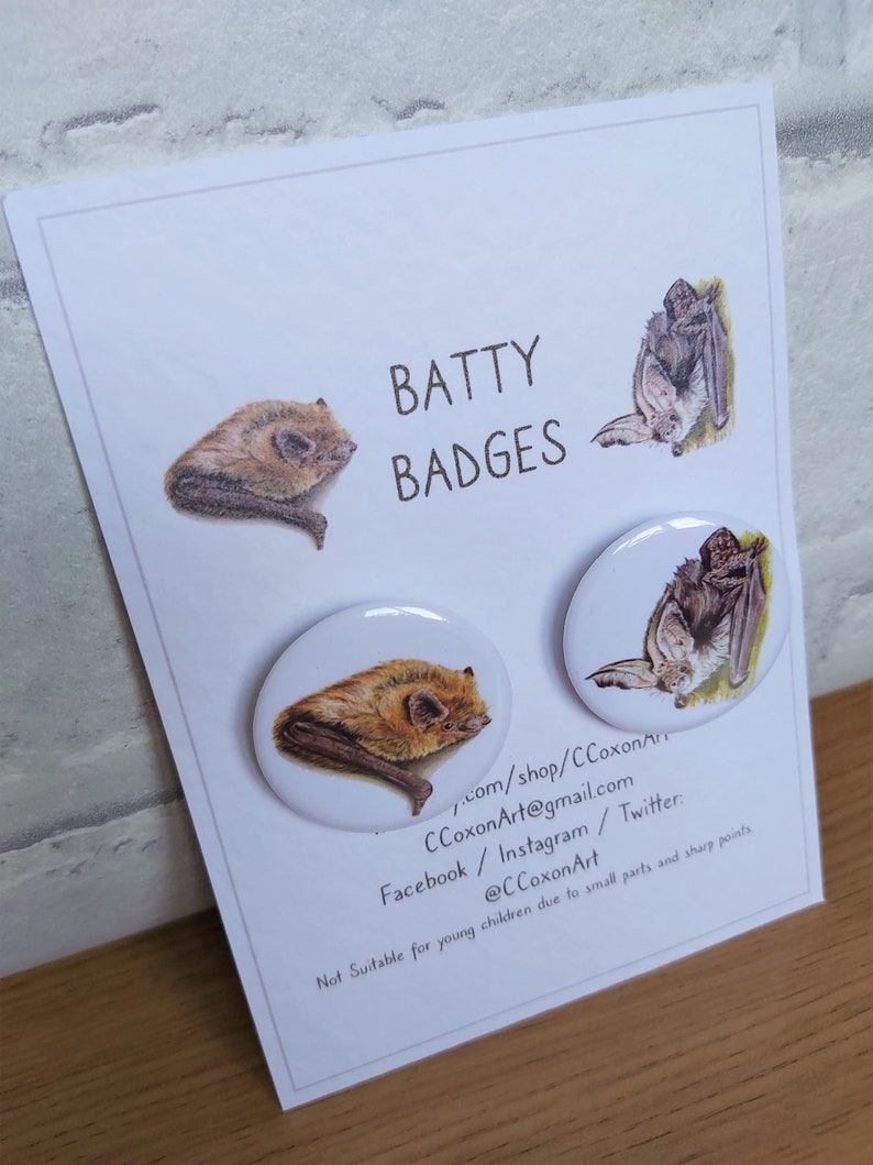Bat Badges, Bat Button Badges, Common Pipistrelle, Brown Long Eared Bat ...
