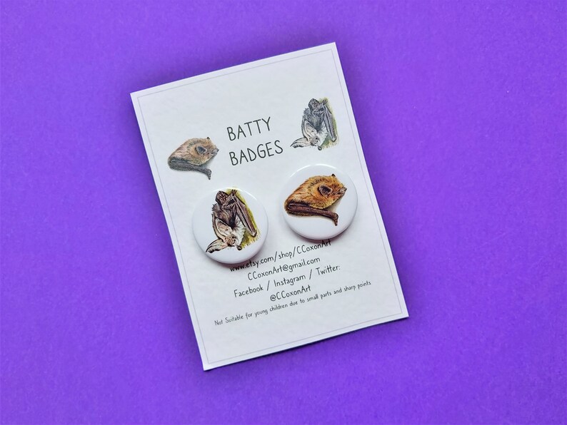 Bat Badges, Bat Button Badges, Common Pipistrelle, Brown Long Eared Bat ...
