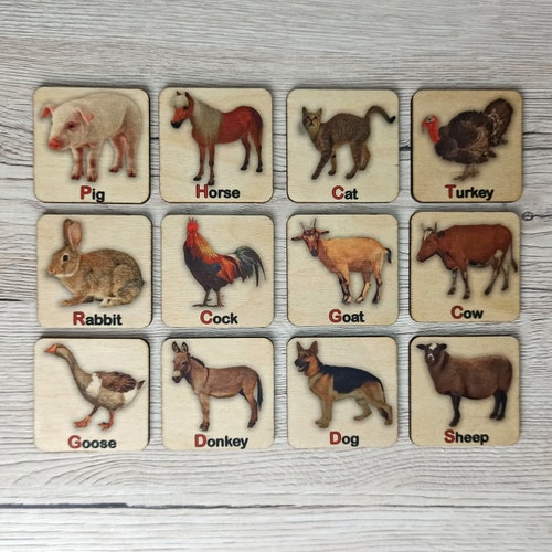 Sight Words Matching Set 24 Pieces Preschool Waldorf | Etsy