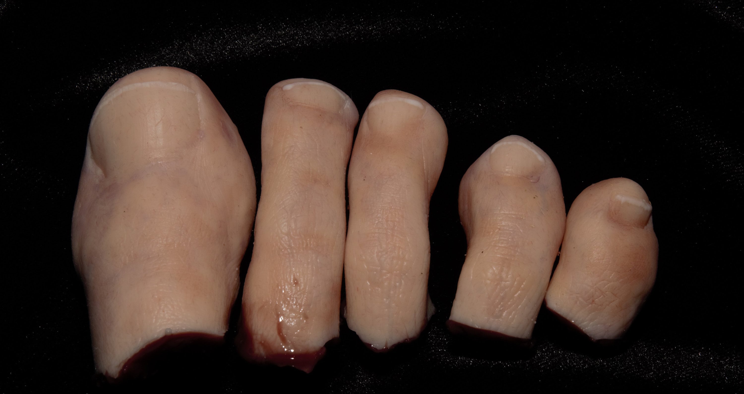 Set of 5 Severed Toes - Etsy