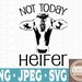 Not today Heifer SVGPNG and JPEG file | Etsy