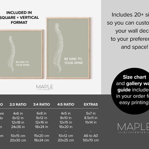 Chiropractor Poster, Sage Green Spine Anatomy Print, Office Decor for ...