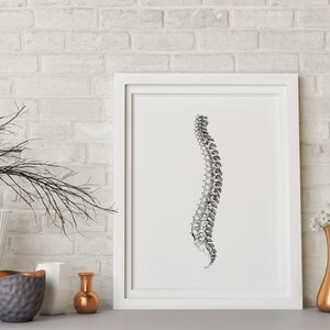 Spine Art Print, Chiropractic Poster, Chiro Office Decor, Gift for ...