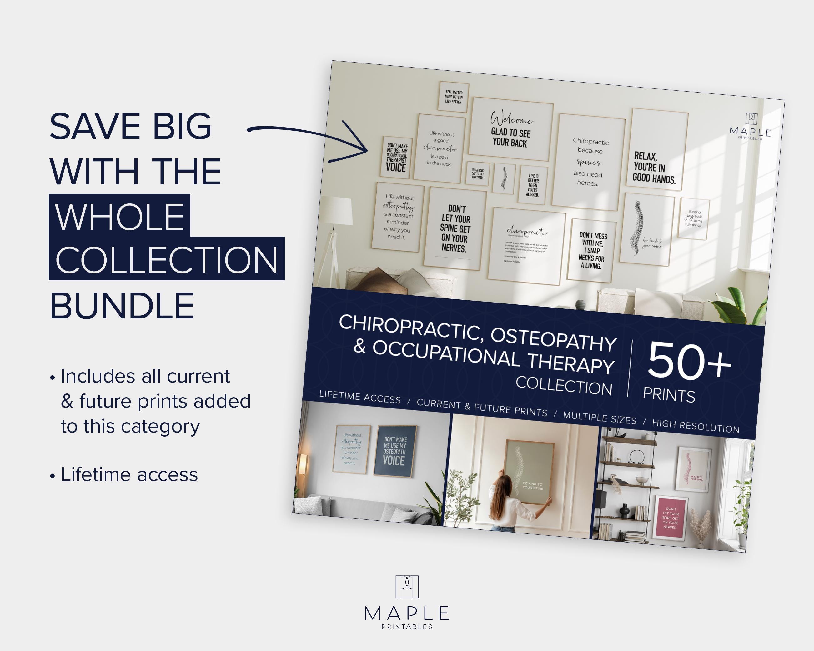 Chiropractic Posters, Office Decor for Chiropractor, Chiro Wall Art ...