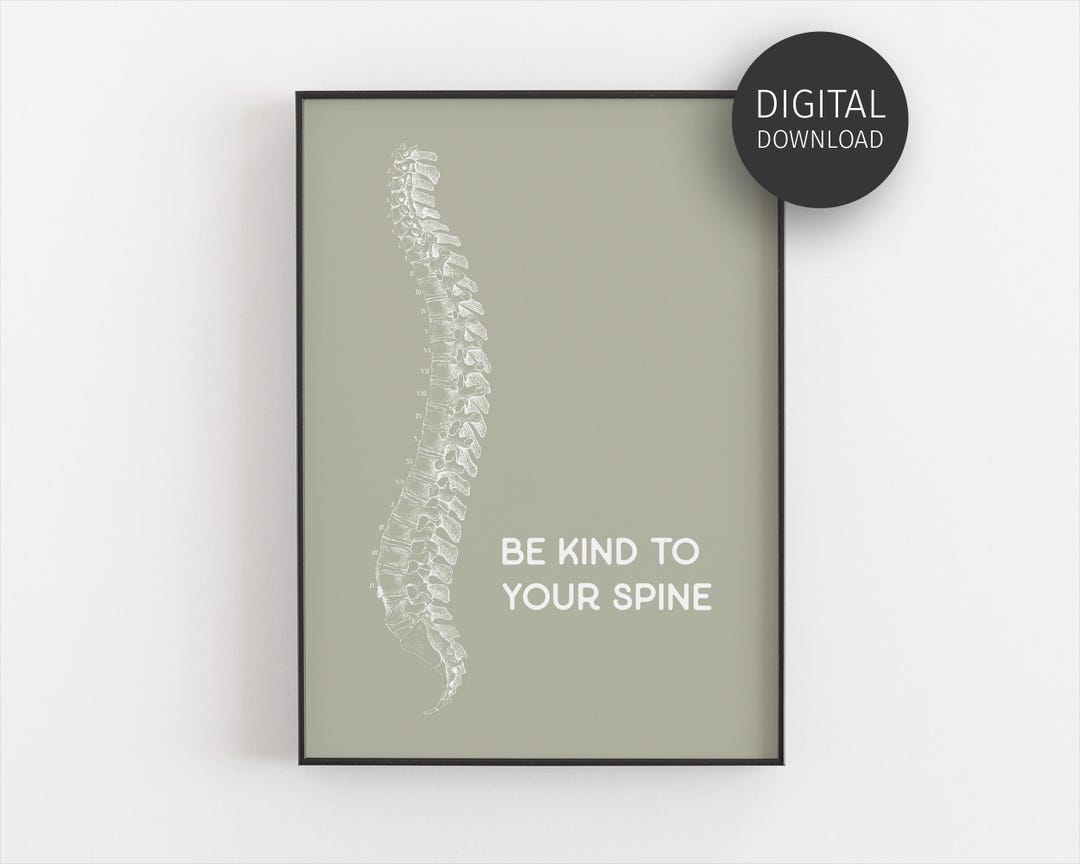 Chiropractor Poster, Sage Green Spine Anatomy Print, Office Decor for ...