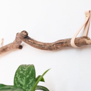 Branch Hanger, Canoe Paddle Hanger, Decorative Paddle Hanger, Branch ...