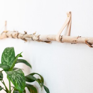 Branch Hanger, Canoe Paddle Hanger, Decorative Paddle Hanger, Branch ...