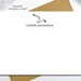 Seagull Note Card Set Seagull Stationery Seagull Stationary | Etsy
