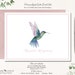 Hummingbird Note Cards, Humming Bird Gifts, Colorful Hummingbird ...