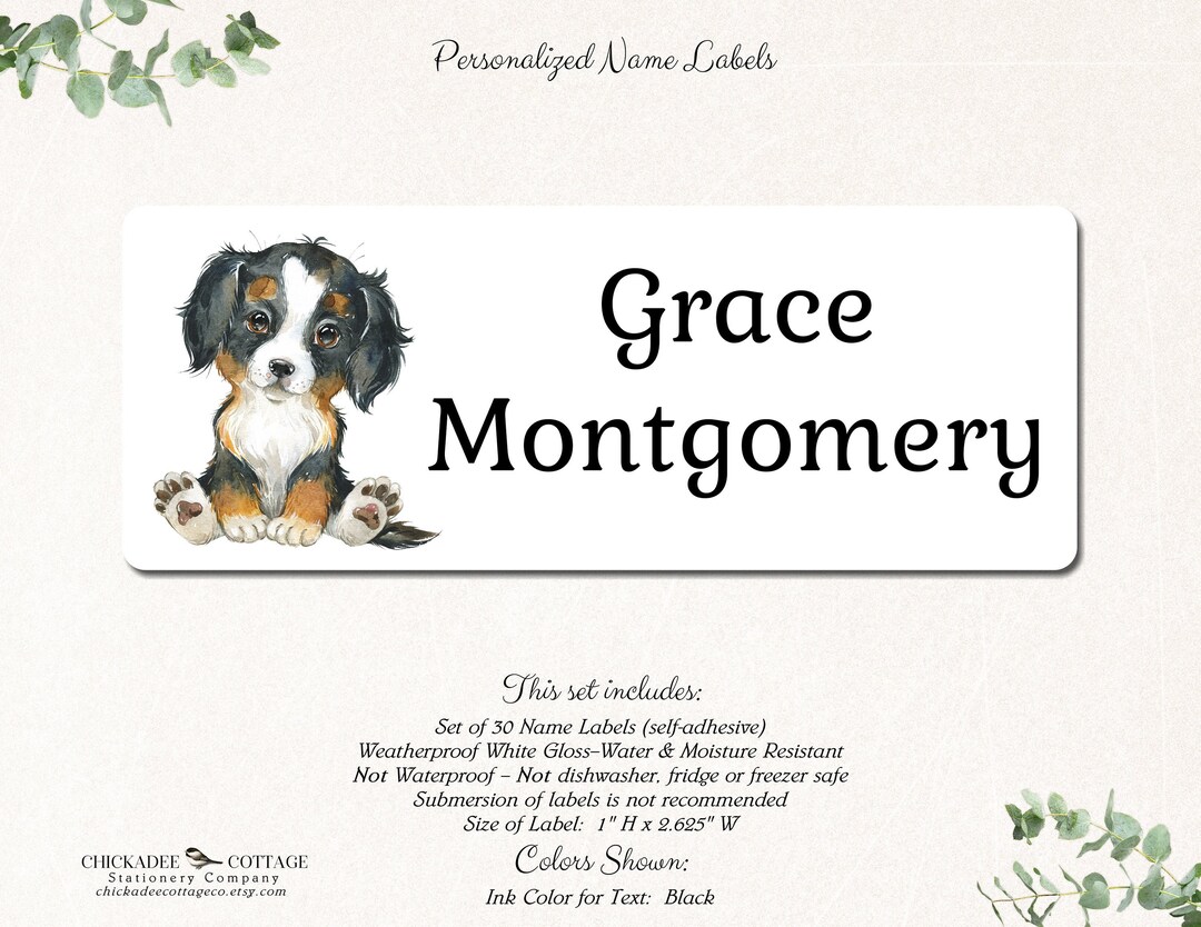 Name Stickers, School Supply Labels, Dog Labels, Personalized Name ...