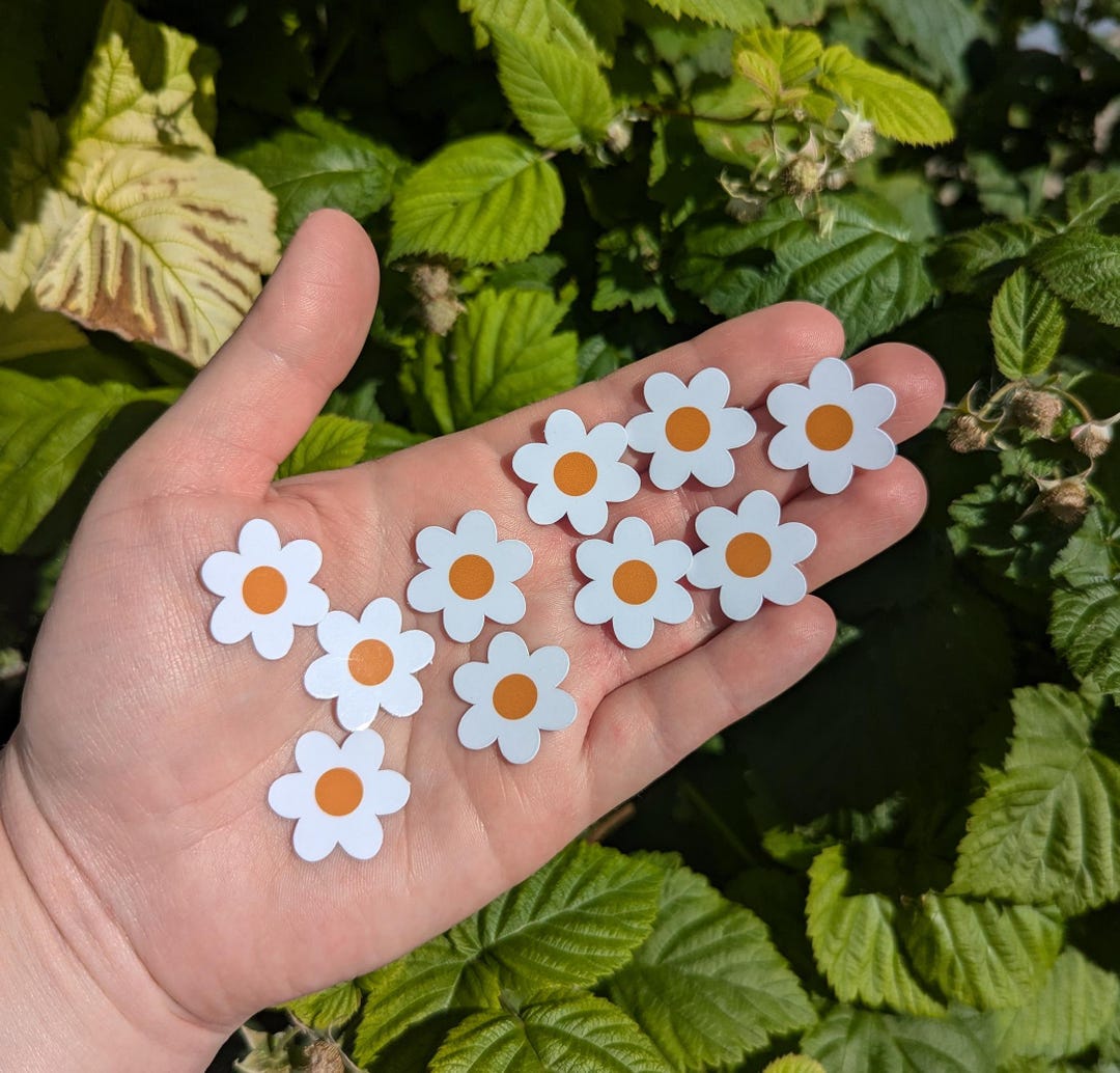 10 Pack Mini White Daisy Vinyl Stickers / Groovy Flower Stickers ...