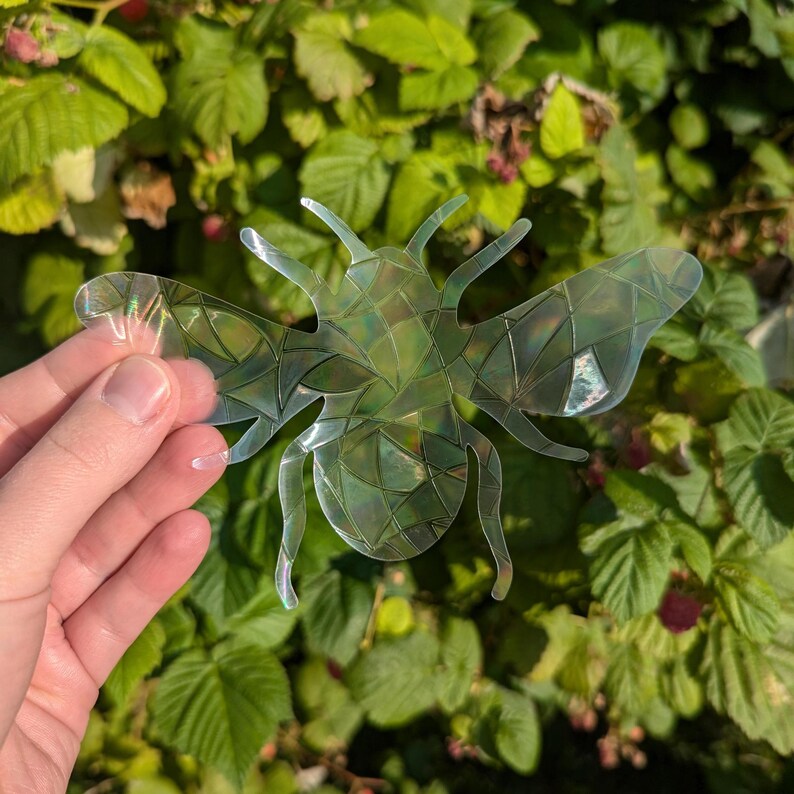 Beautiful Bumble Bee Suncatcher Sticker / Reusable Window Cling ...