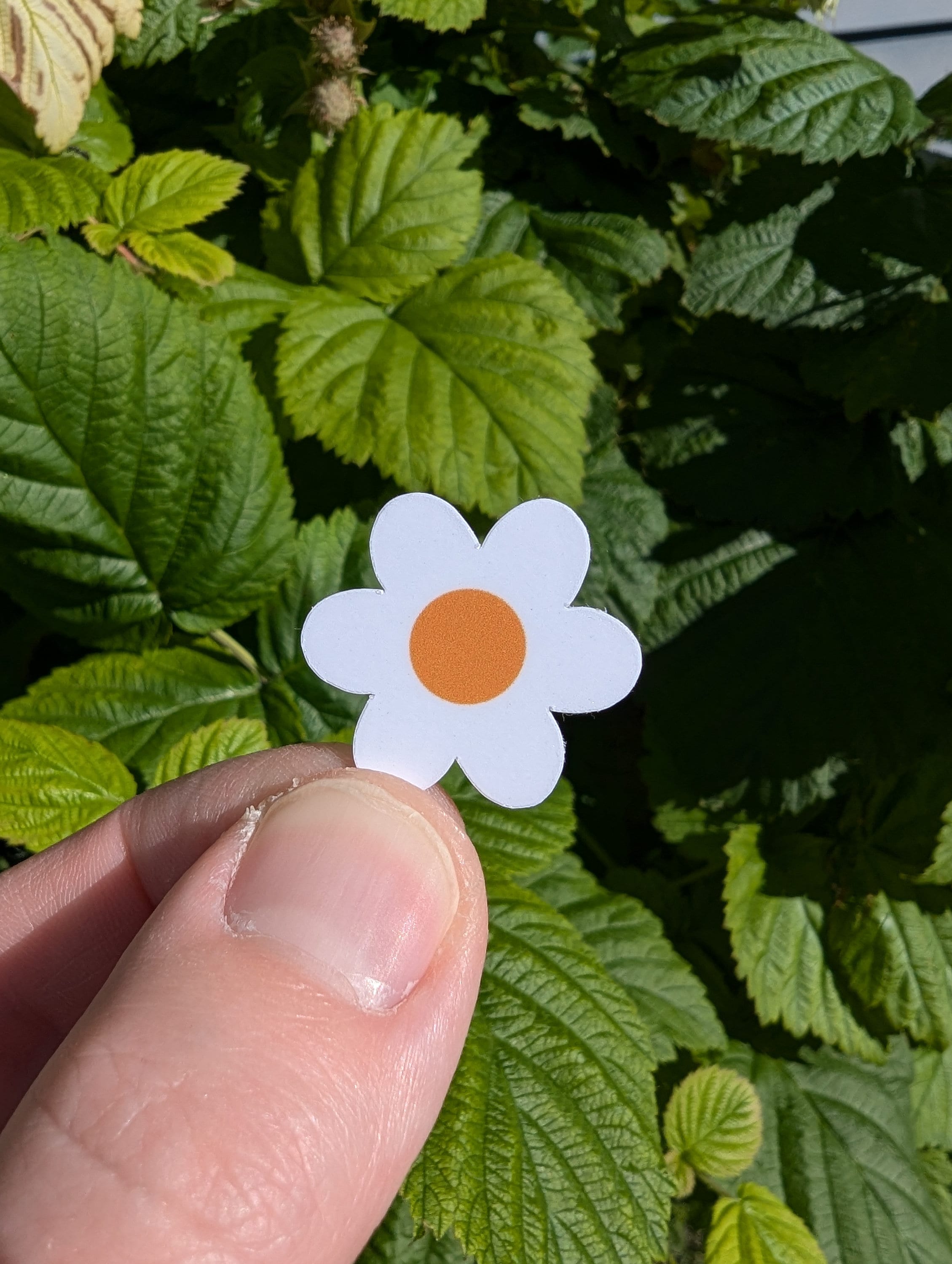 10 Pack Mini White Daisy Vinyl Stickers / Groovy Flower Stickers ...