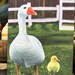 Mother Goose and Gosling Original Painting, Handmade Barn Wood Frame, 8 ...