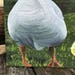 Mother Goose and Gosling Original Painting, Handmade Barn Wood Frame, 8 ...