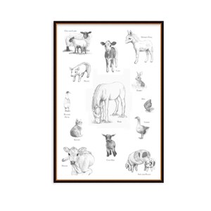 Neutral Wall Art Prints Farm Animals Poster Educational Posters ...