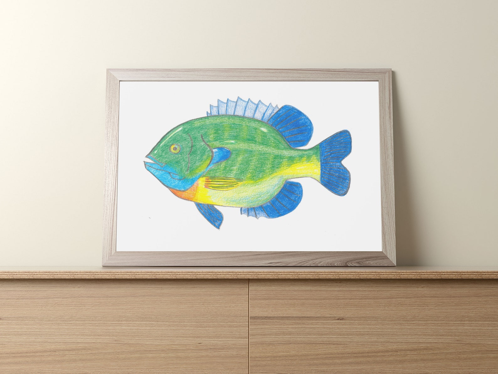 Fish Art Original Print Sunfish Illustration Colored Pencil - Etsy