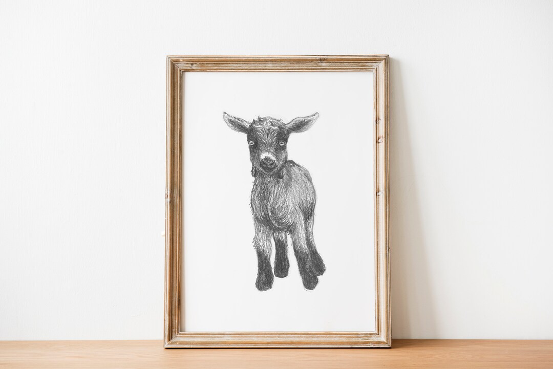 Goat Fine Art Pencil Sketch Modern Farmhouse Artwork Farm Animal Pencil ...