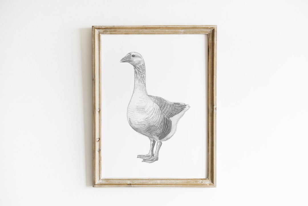 Goose Fine Art Farm Animal Pencil Sketch Modern Farmhouse Artwork ...