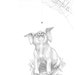 Charlottes Web Art Sketch Wilbur the Pig Pencil Drawing - Etsy