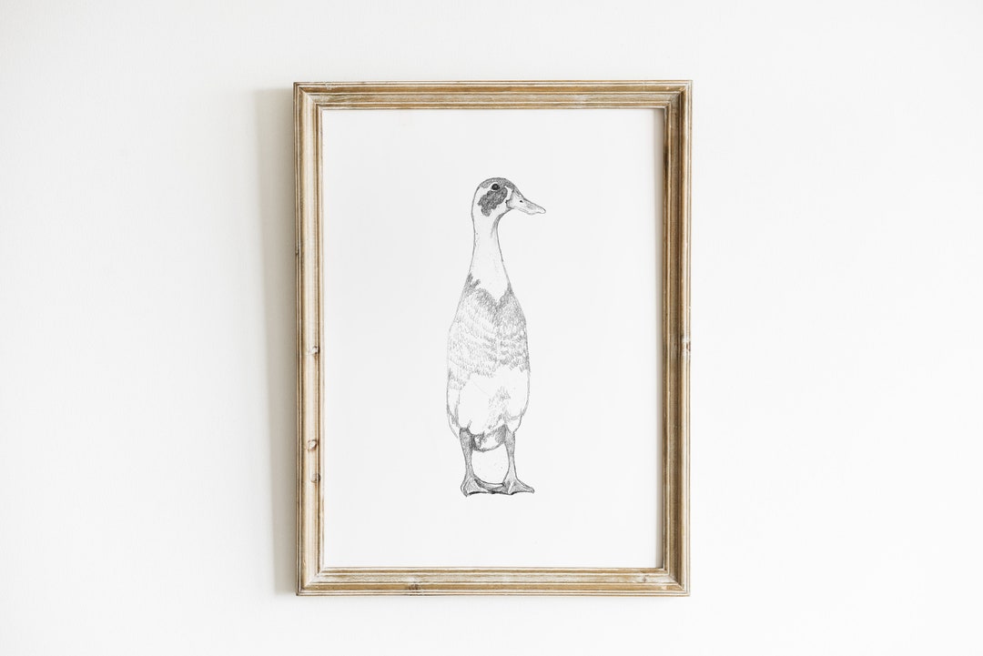 Runner Duck Fine Art Print Farm Animal Sketch Modern Farmhouse Artwork ...