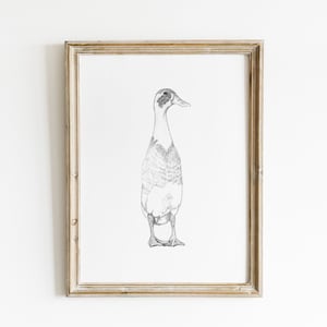 Runner Duck Fine Art Print Farm Animal Sketch Modern Farmhouse Artwork ...