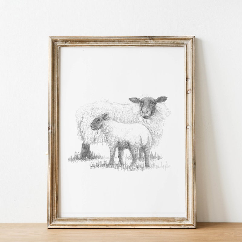 Sheep Drawing - Etsy