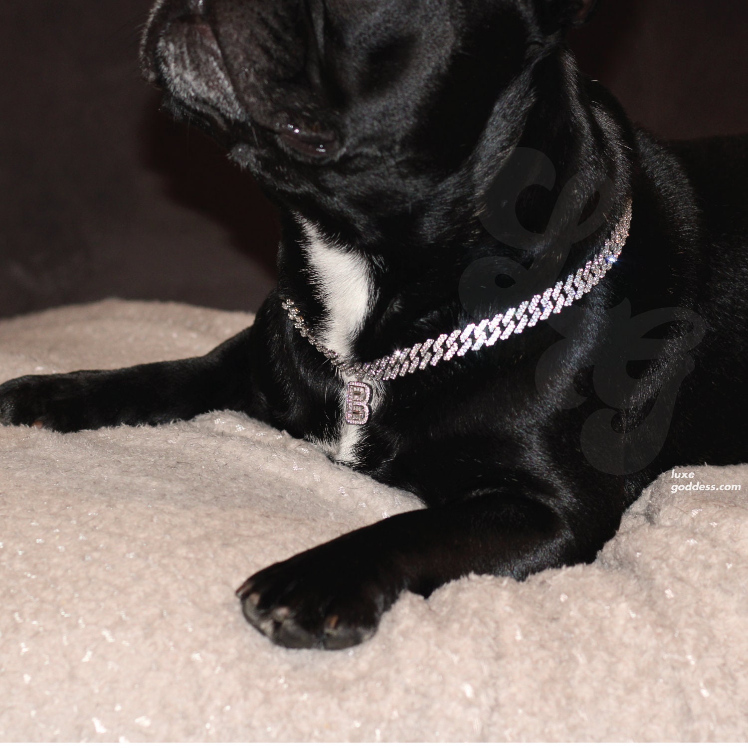Diamond Dog Collar - Etsy