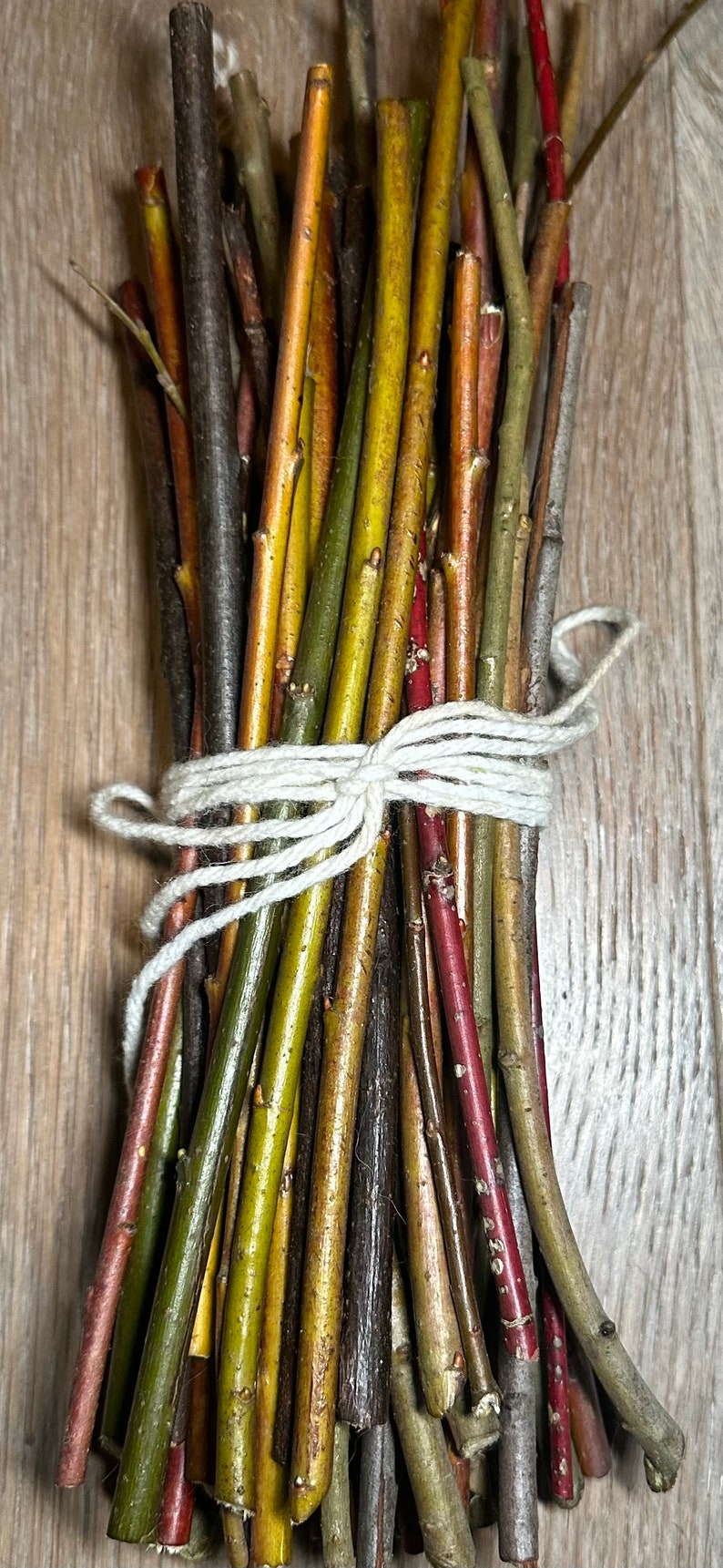 100 Organic Cuttings PNW Native Willow Salix Basket Weaving Furniture ...